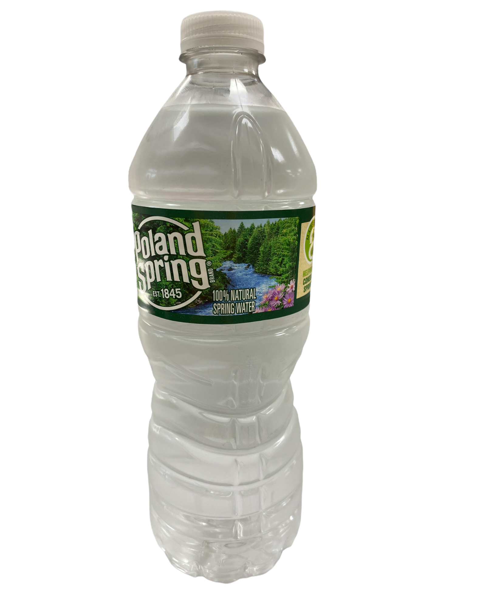 Poland Spring 16.9 fl oz – Pinoy Ako